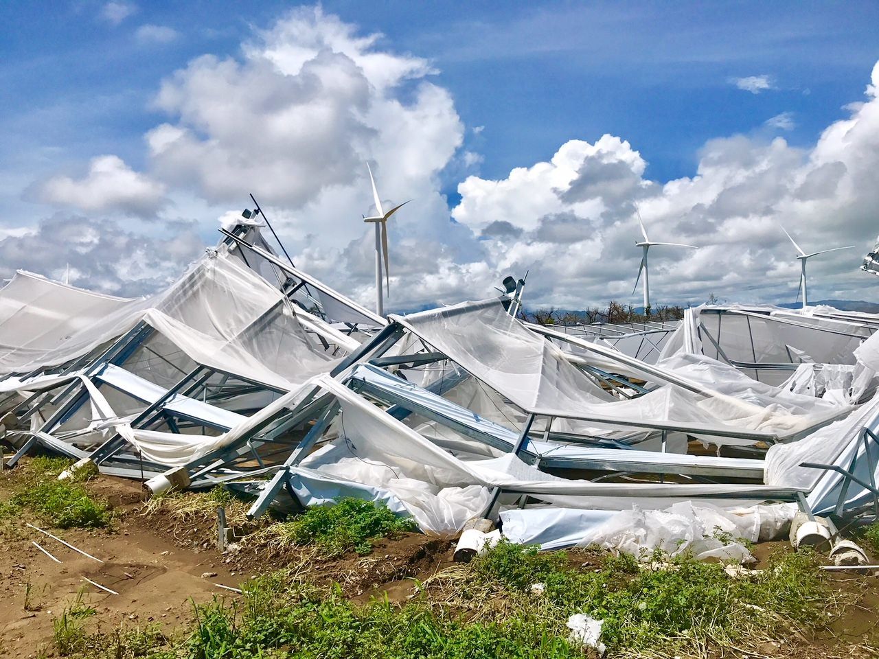 A year after Hurricane Maria, Puerto Rico's medical marijuana program ...