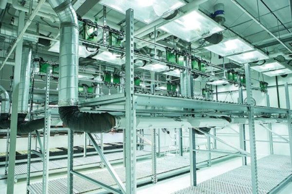 Five key tips to designing an efficient cannabis extraction facility