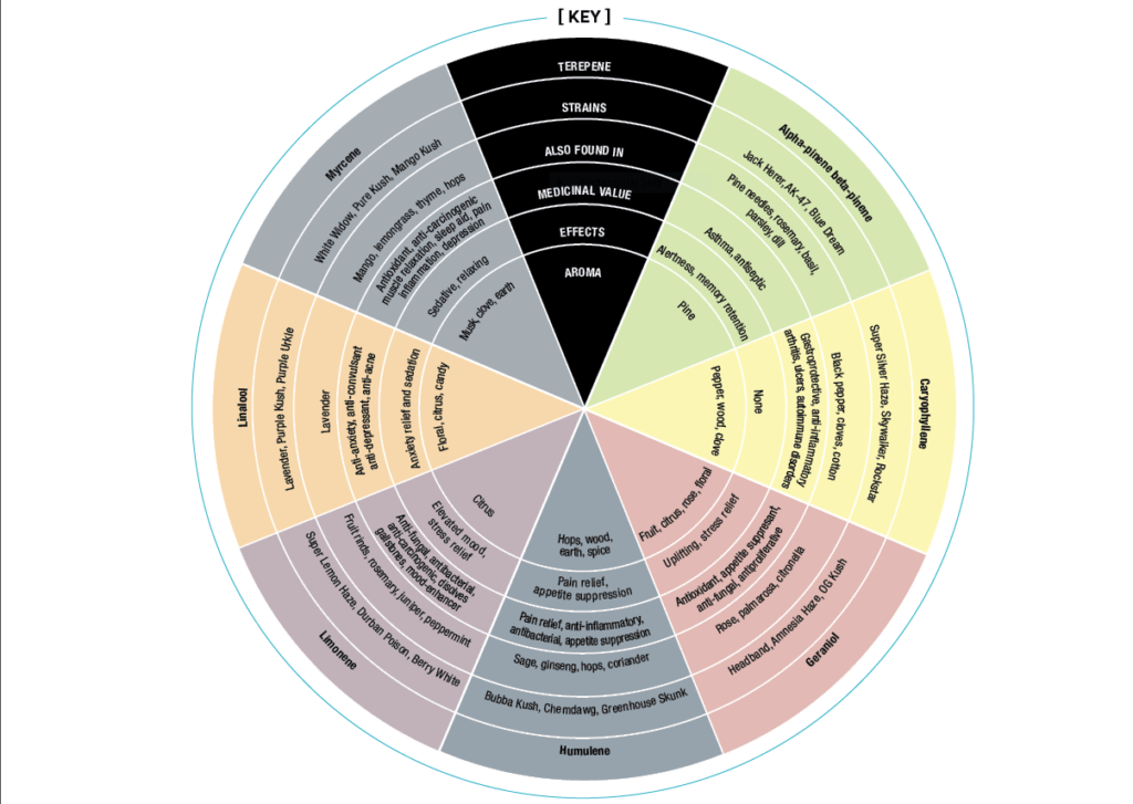 Understanding the ‘Entourage Effect’