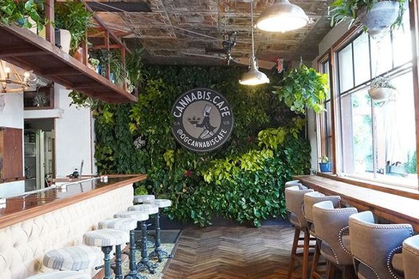 Marijuana cafes combine dispensaries and food service