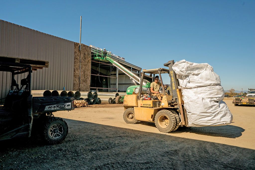 Post-harvest handling, storage essential to maintain a profitable hemp ...
