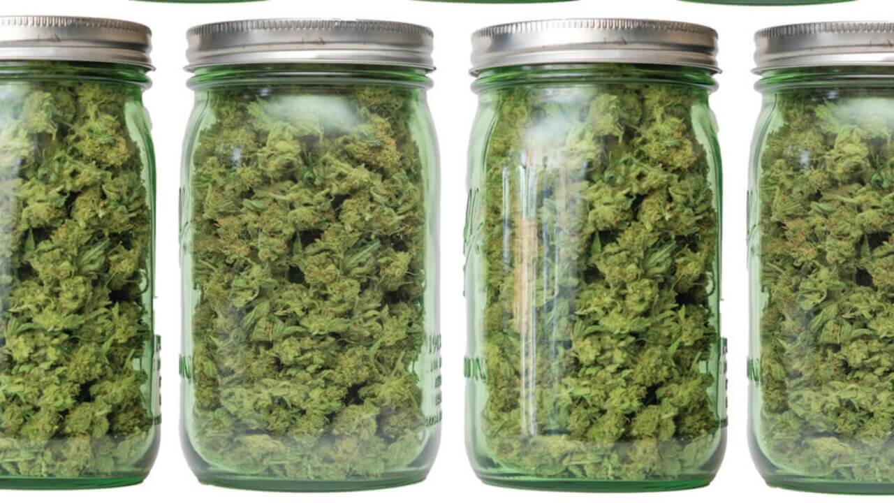 California report spotlights potential risks of high-potency marijuana