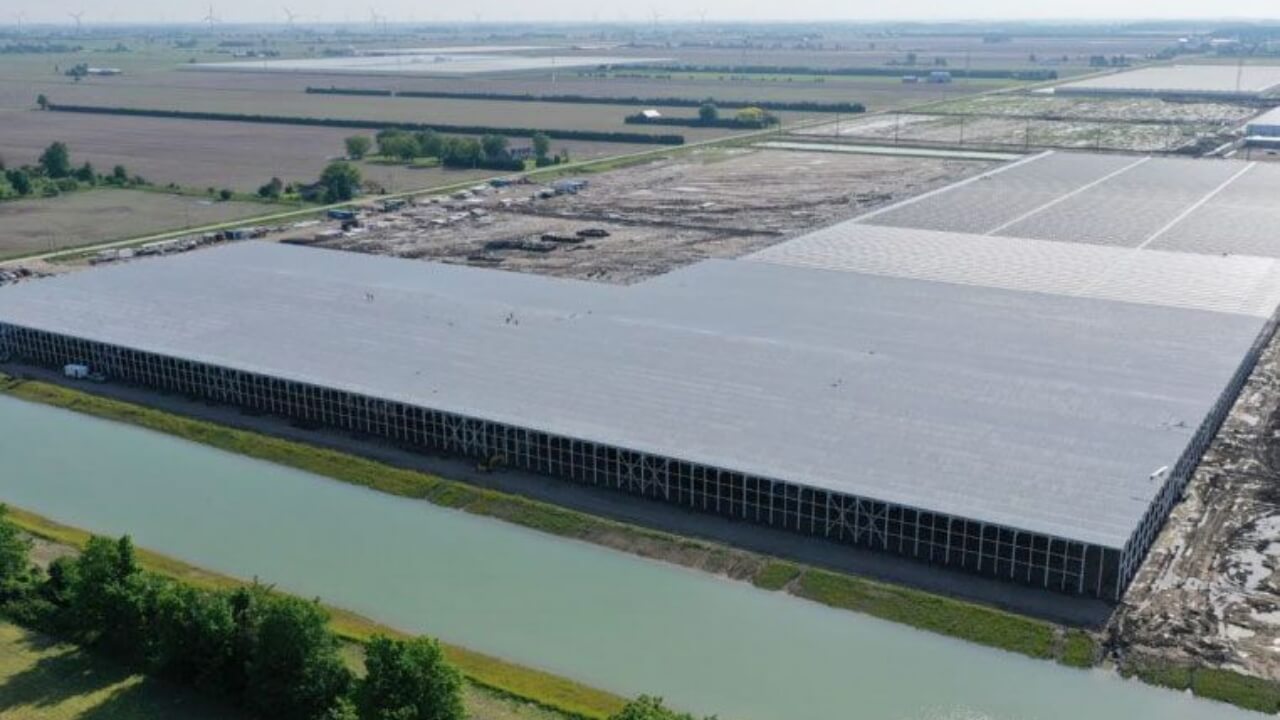 Marijuana firm Auxly's quarterly loss improves to CA$18 million