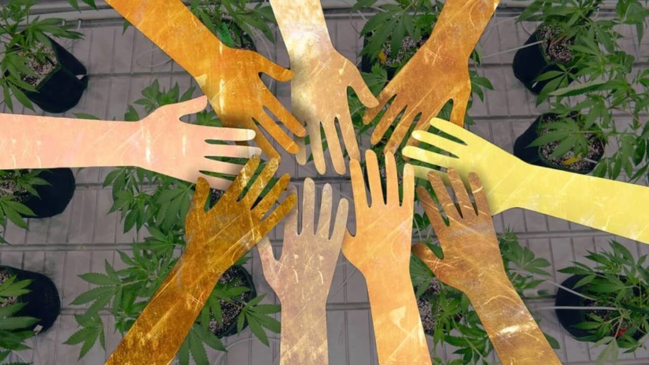 First social equity cannabis retailer opens in California's capital city