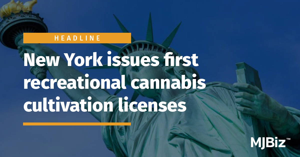 New York issues first recreational cannabis cultivation licenses