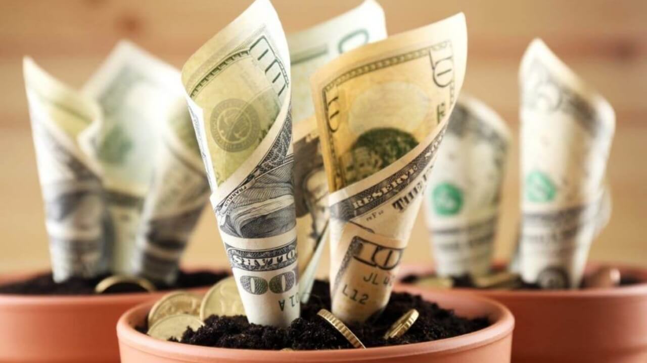 Marijuana firm Bright Green sets deal on $10 million private placement ...