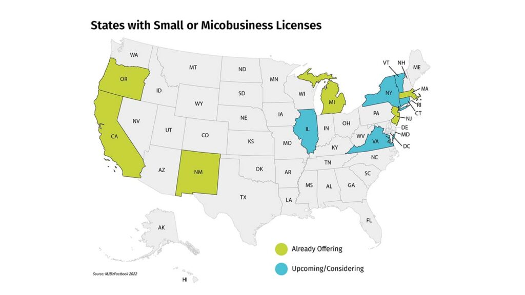 Cannabis small business license holders: Low cost tempered by risk