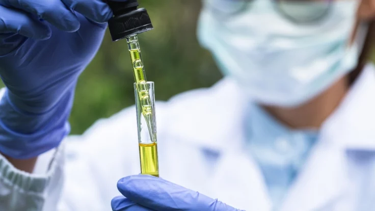 Marijuana Testing Lab News | Cannabis Testing Lab Research Data