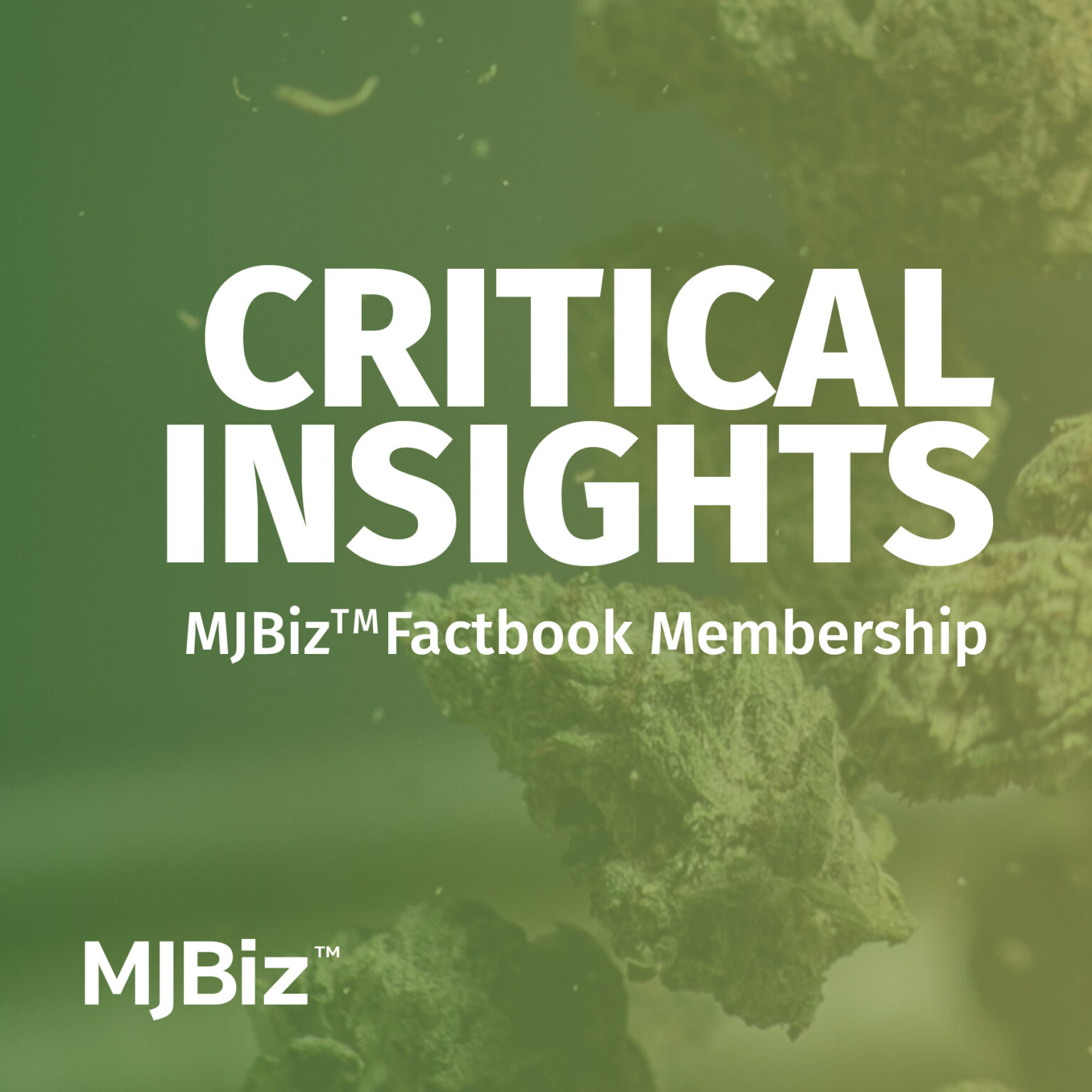 CRITICAL INSIGHTS - MJBizDaily
