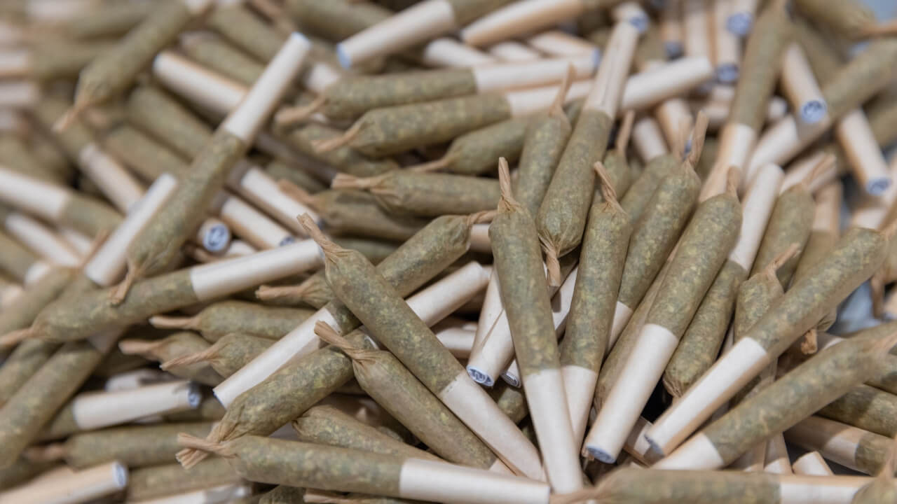 Pre-rolls spark fastest growth category in the cannabis industry